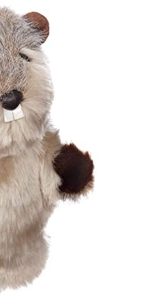 Daphne's Gopher Hybrid/Utility Covers | AusPower Australia