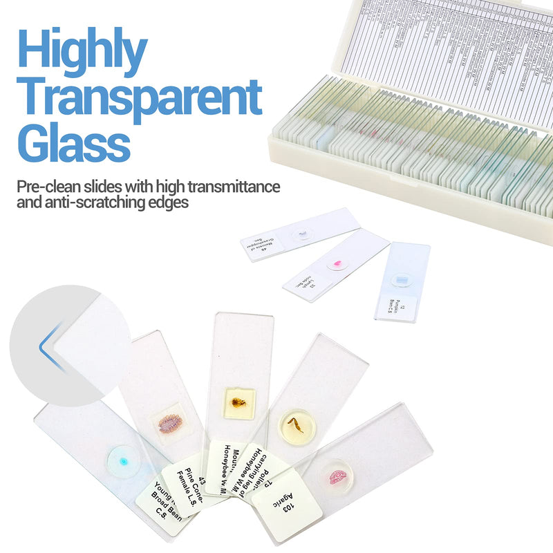 60 Microscope Slides with Specimens for Kids, Prepared Microscope ...