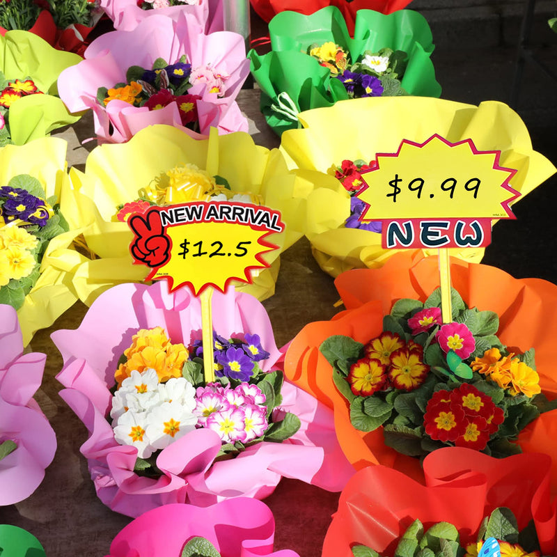 600 Pieces Neon card Starburst Signs Fluorescent Signs Blank Star Shape ...